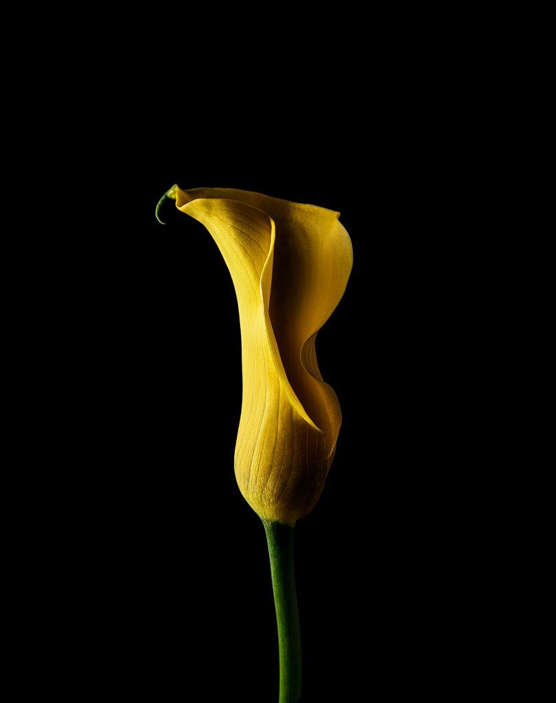 Flash Photography: Front Vs Rear Curtain Sync